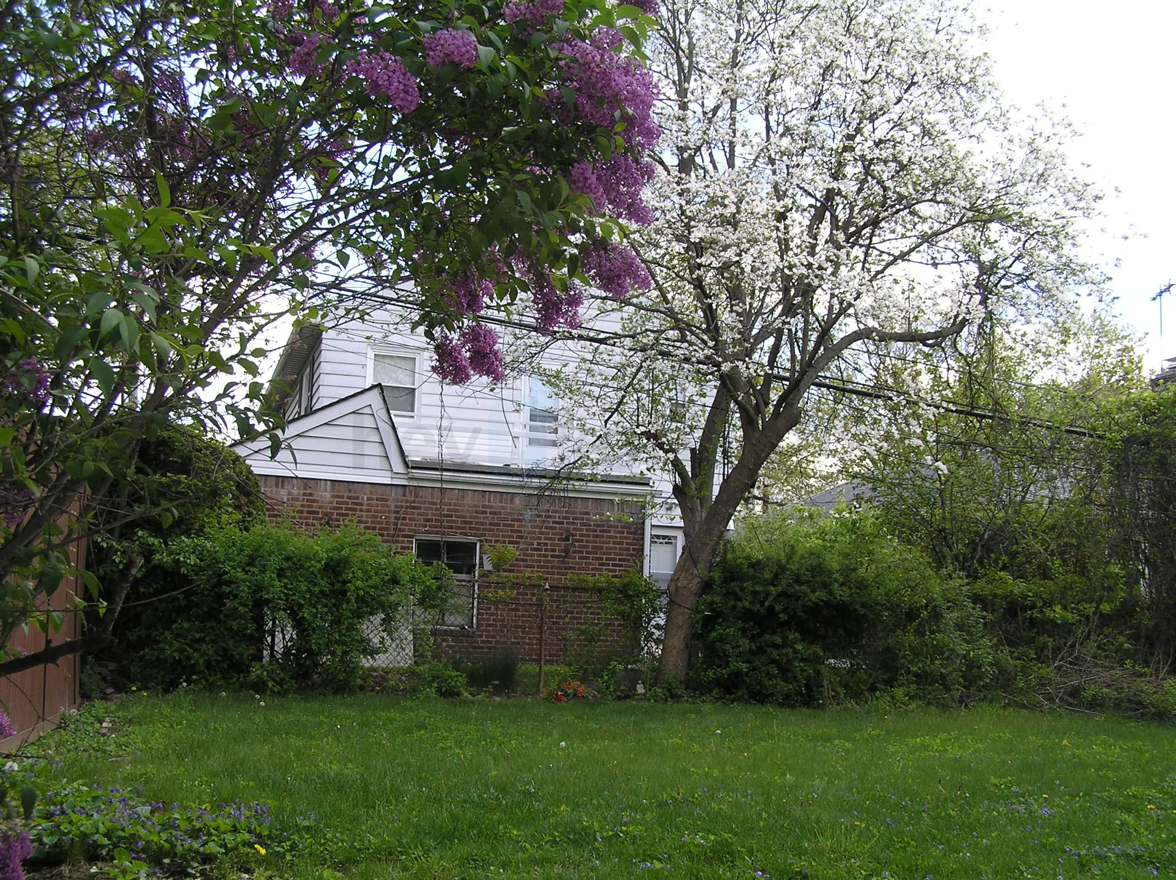 Beautiful house for rent Near Park, College, and Transportation