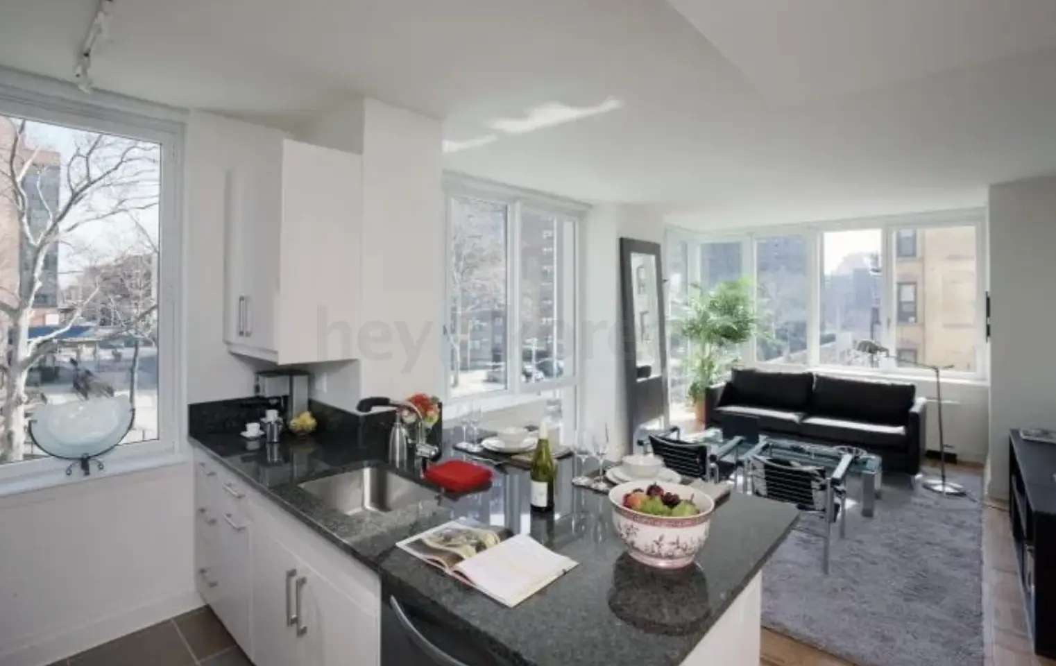 어퍼이스트 스튜디오 Upper East Side Manhattan Luxury Sublet Studio (12/15-8/15)