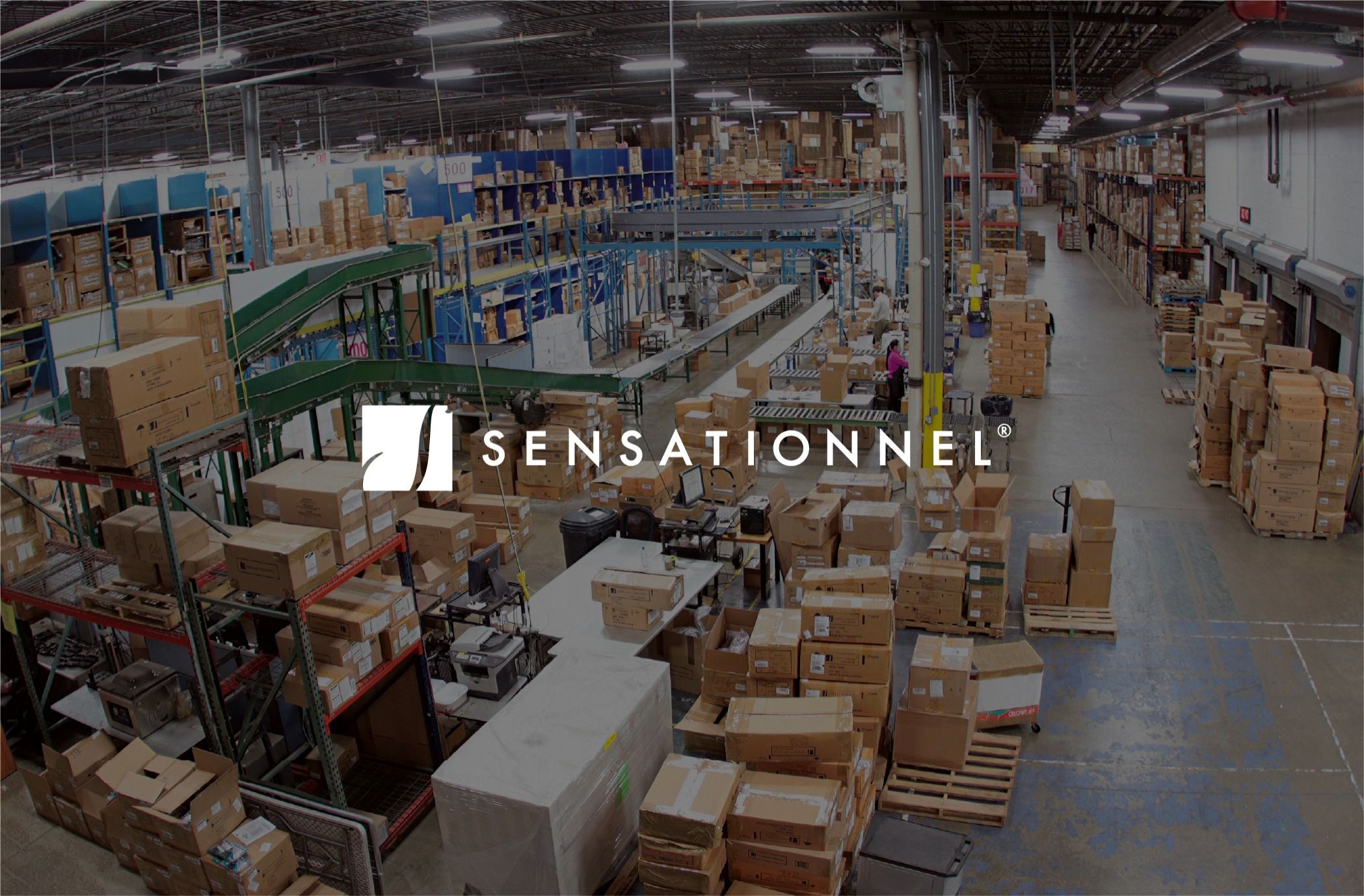 Sales Executive 영업