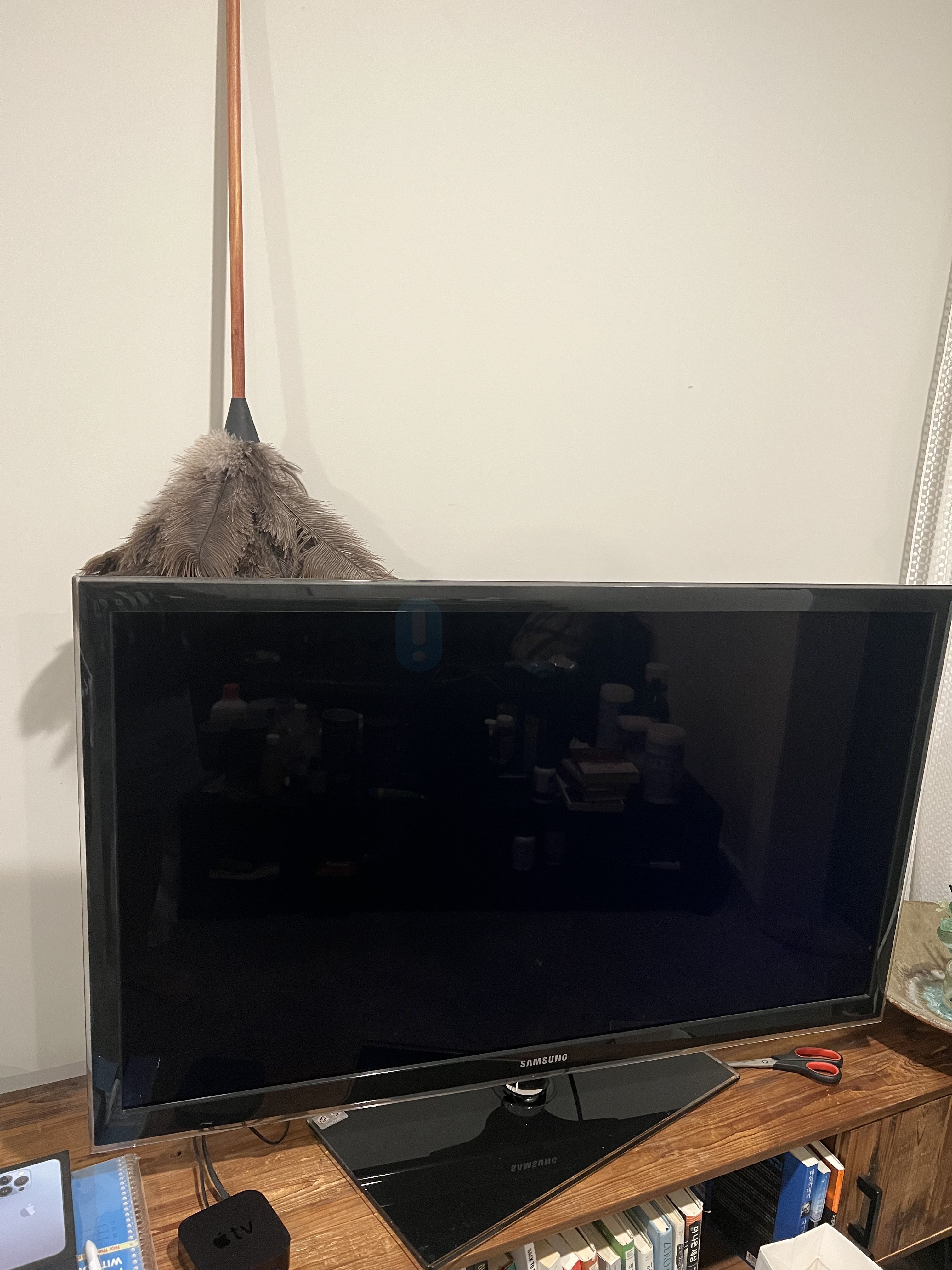 삼성 Smart TV 65” + apple TV
