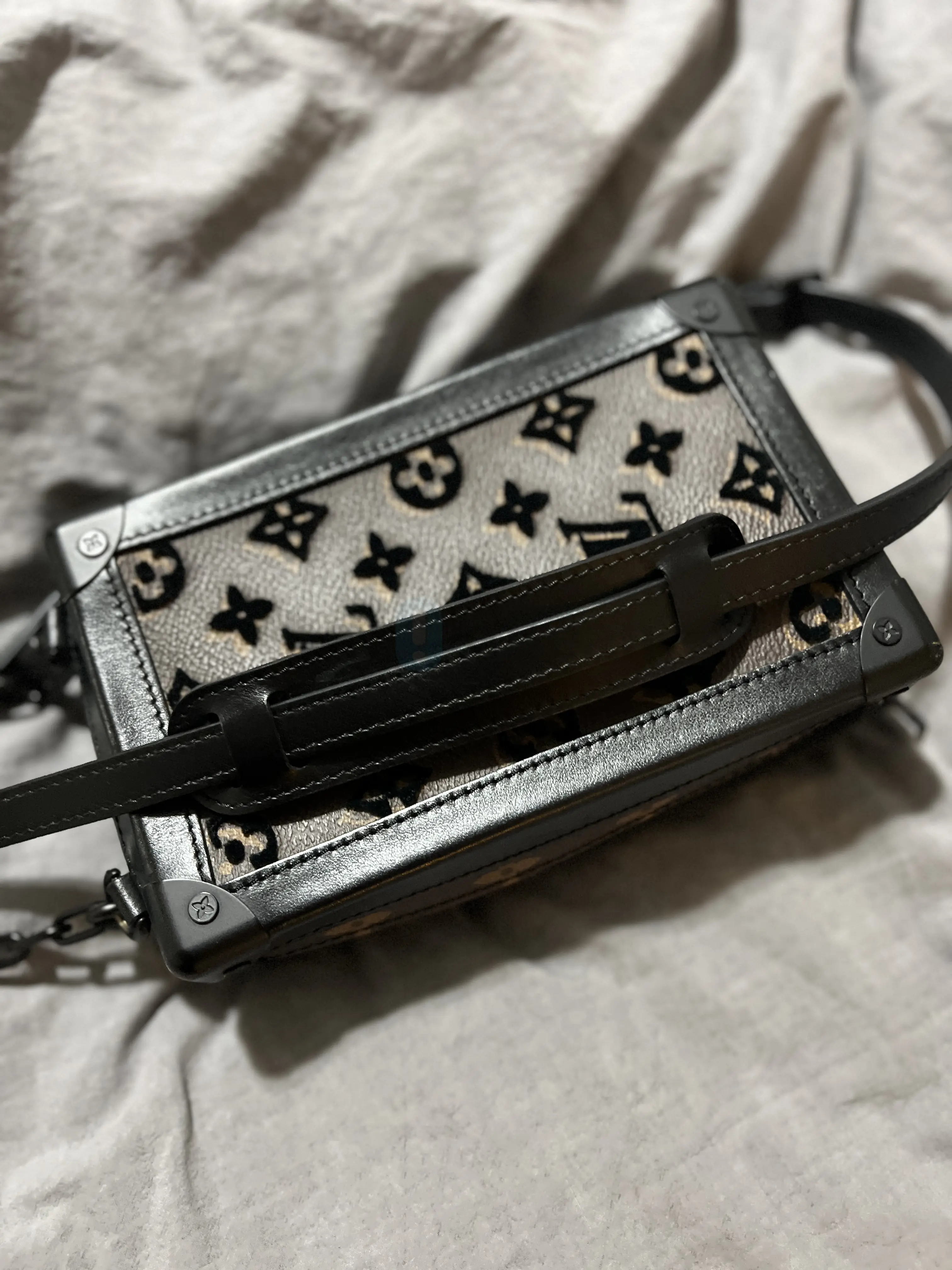 Louis Vuitton soft trunk