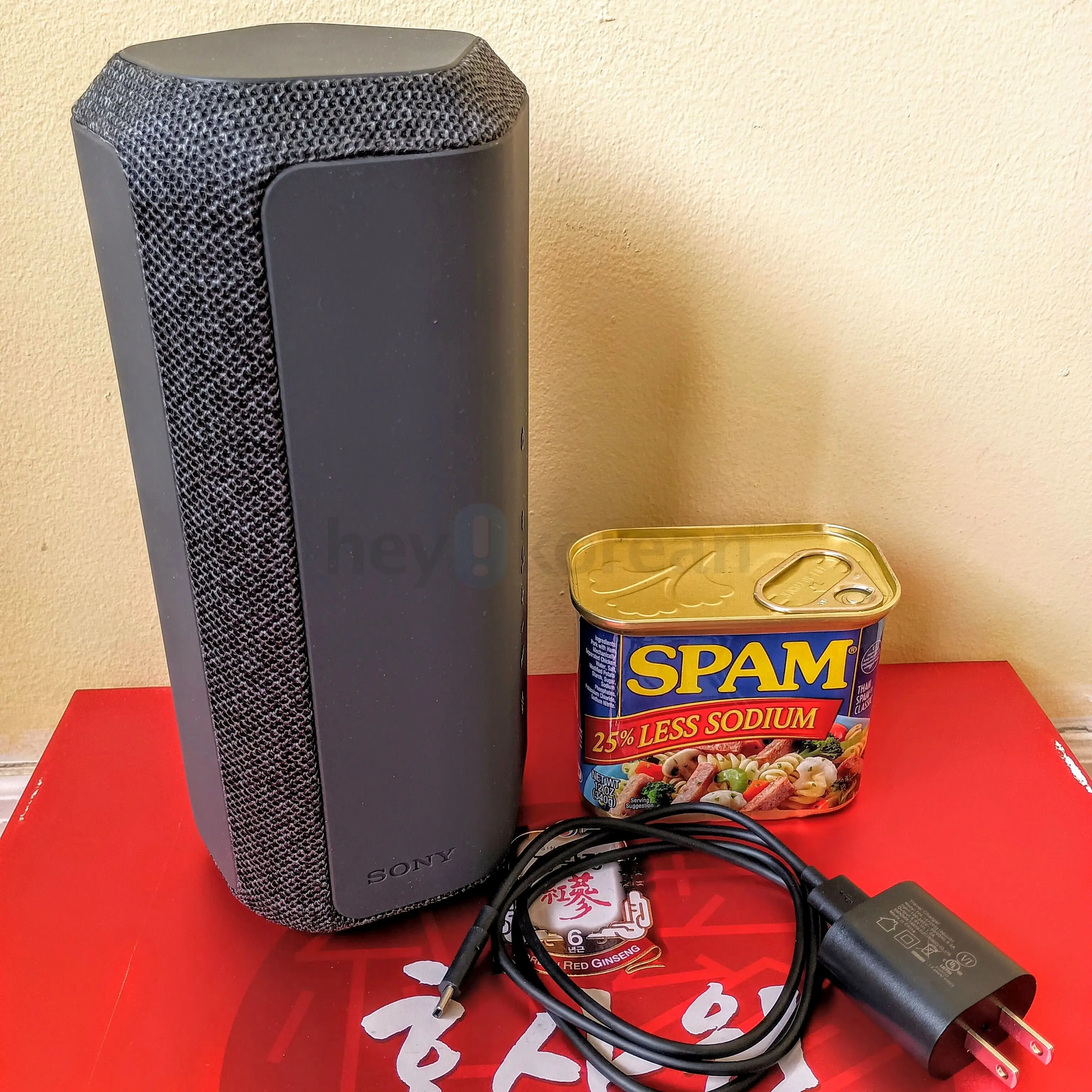 플러싱 배달 (1달전 구입) Sony XE-300 _ 블루투스 스피커