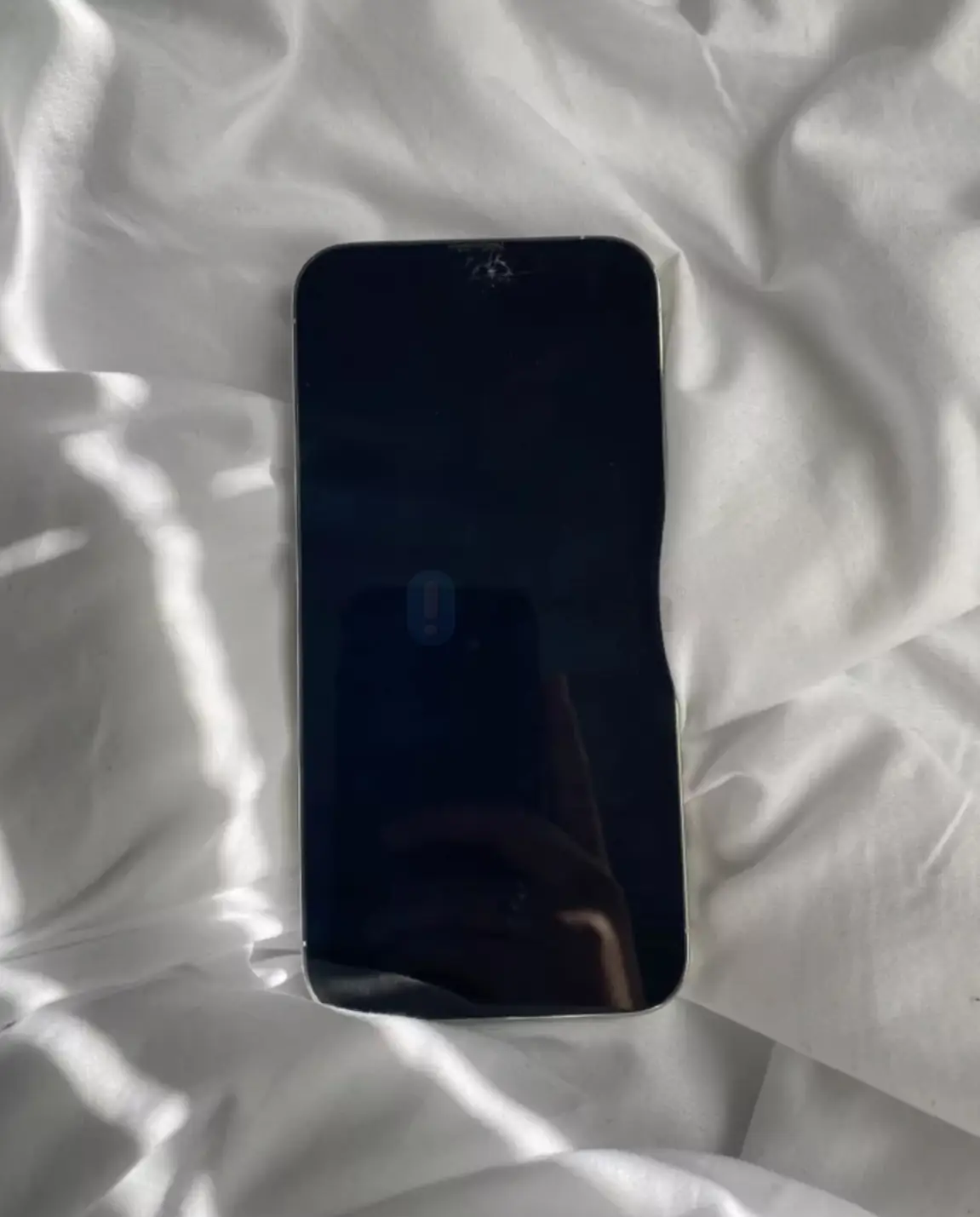 Apple iPhone 13 Pro Max Silver (Unlocked)