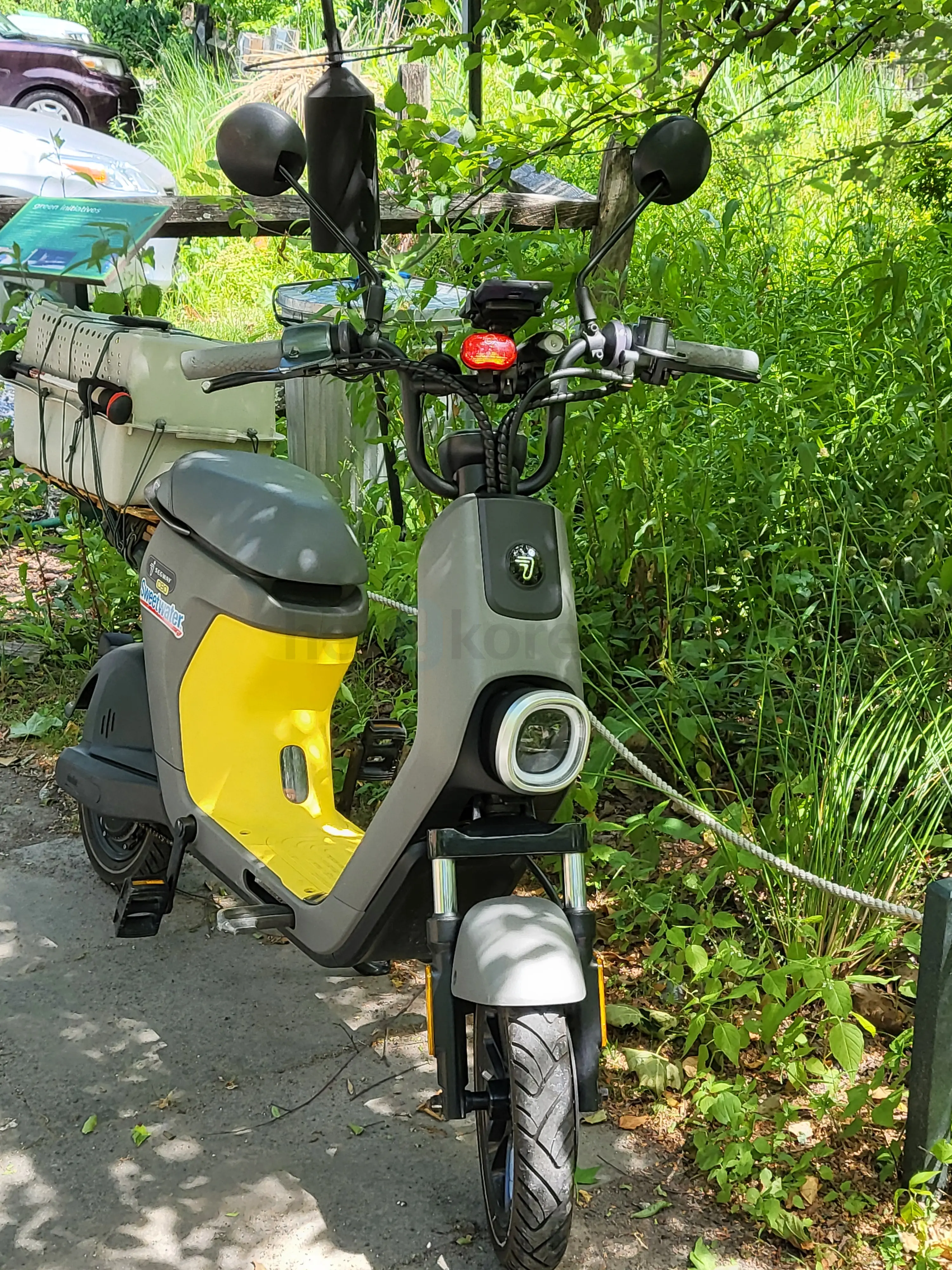 Segway moped C80