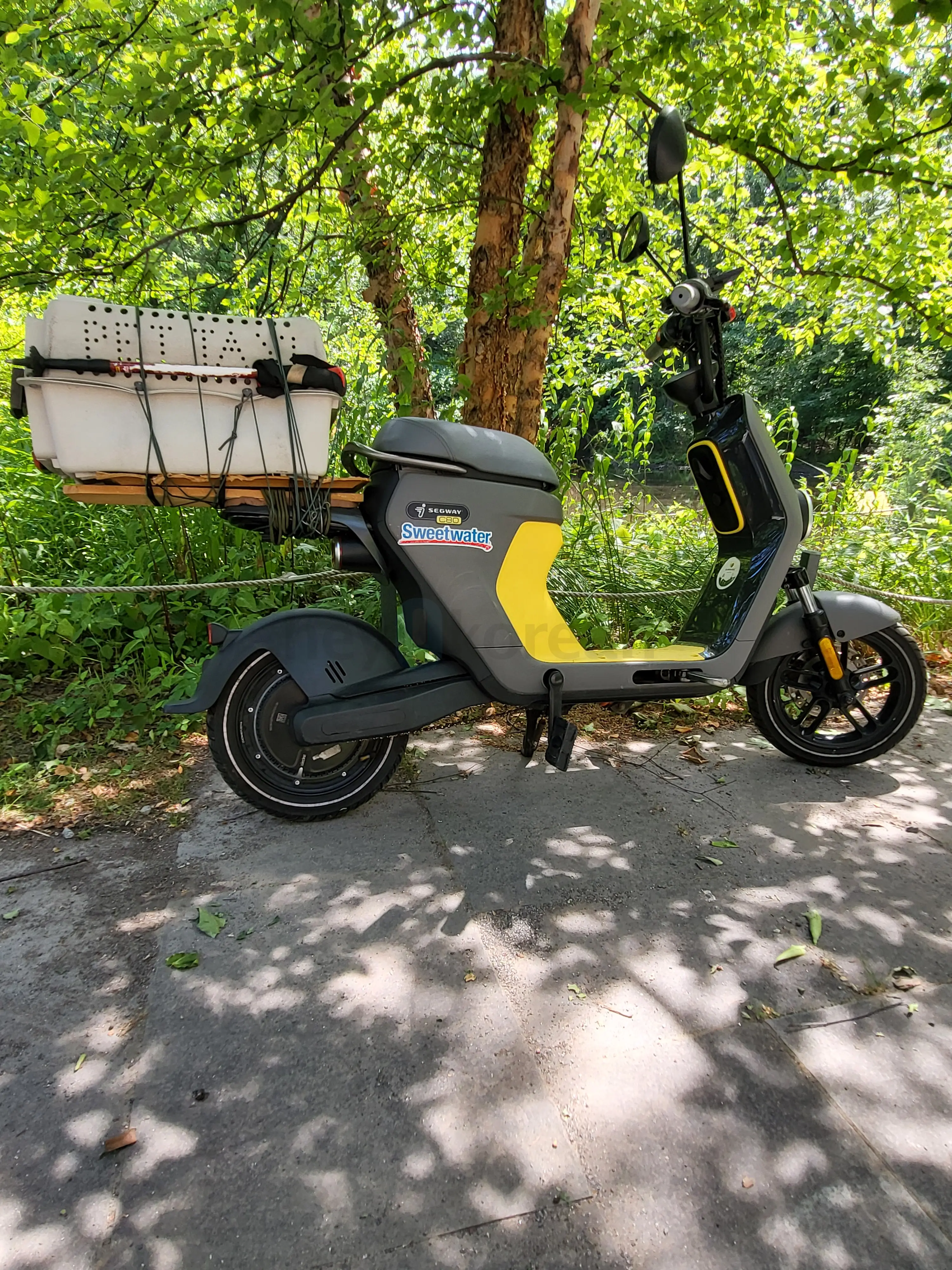 Segway moped C80