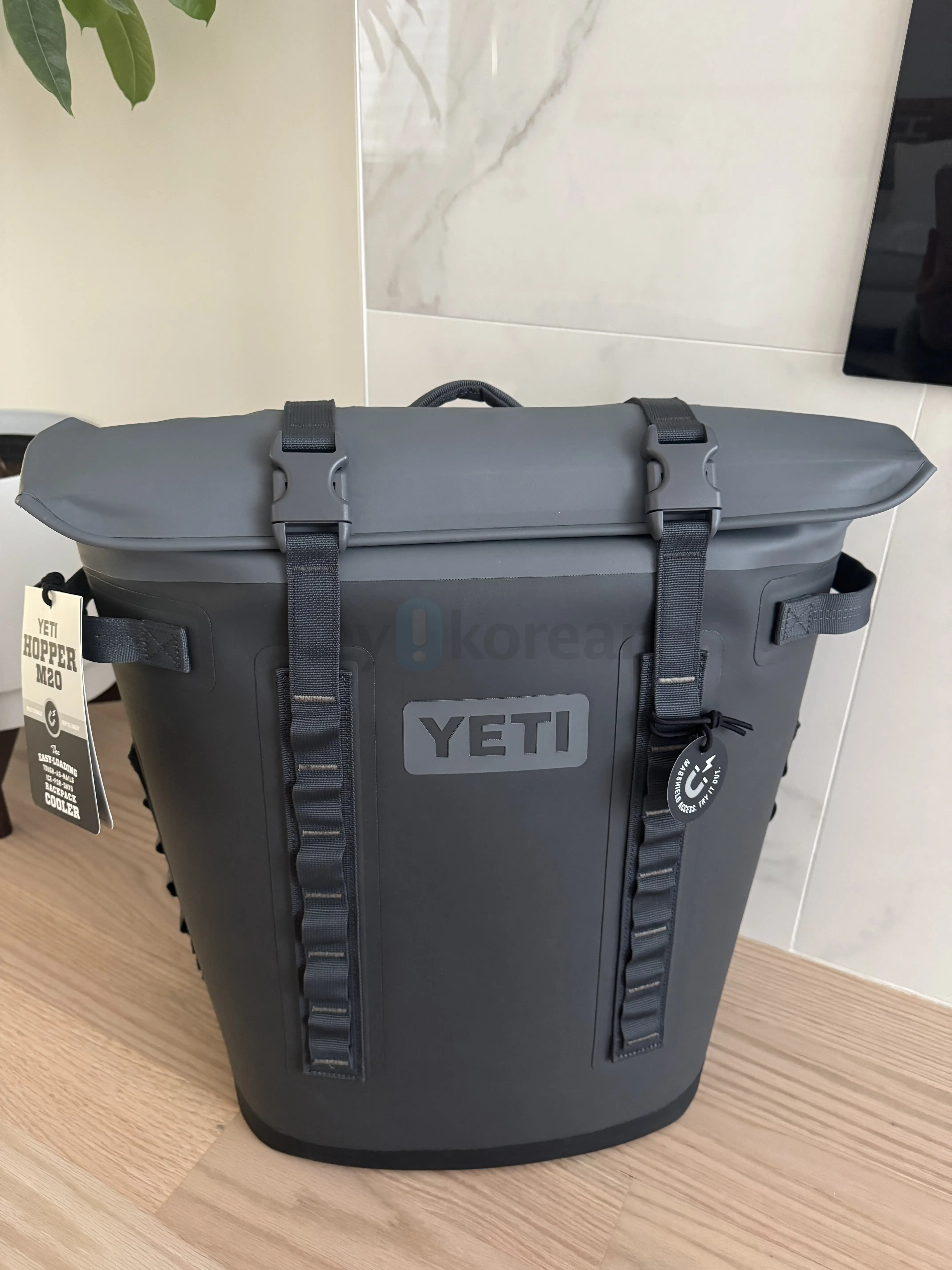 Yeti M20 Soft Backpack Cooler