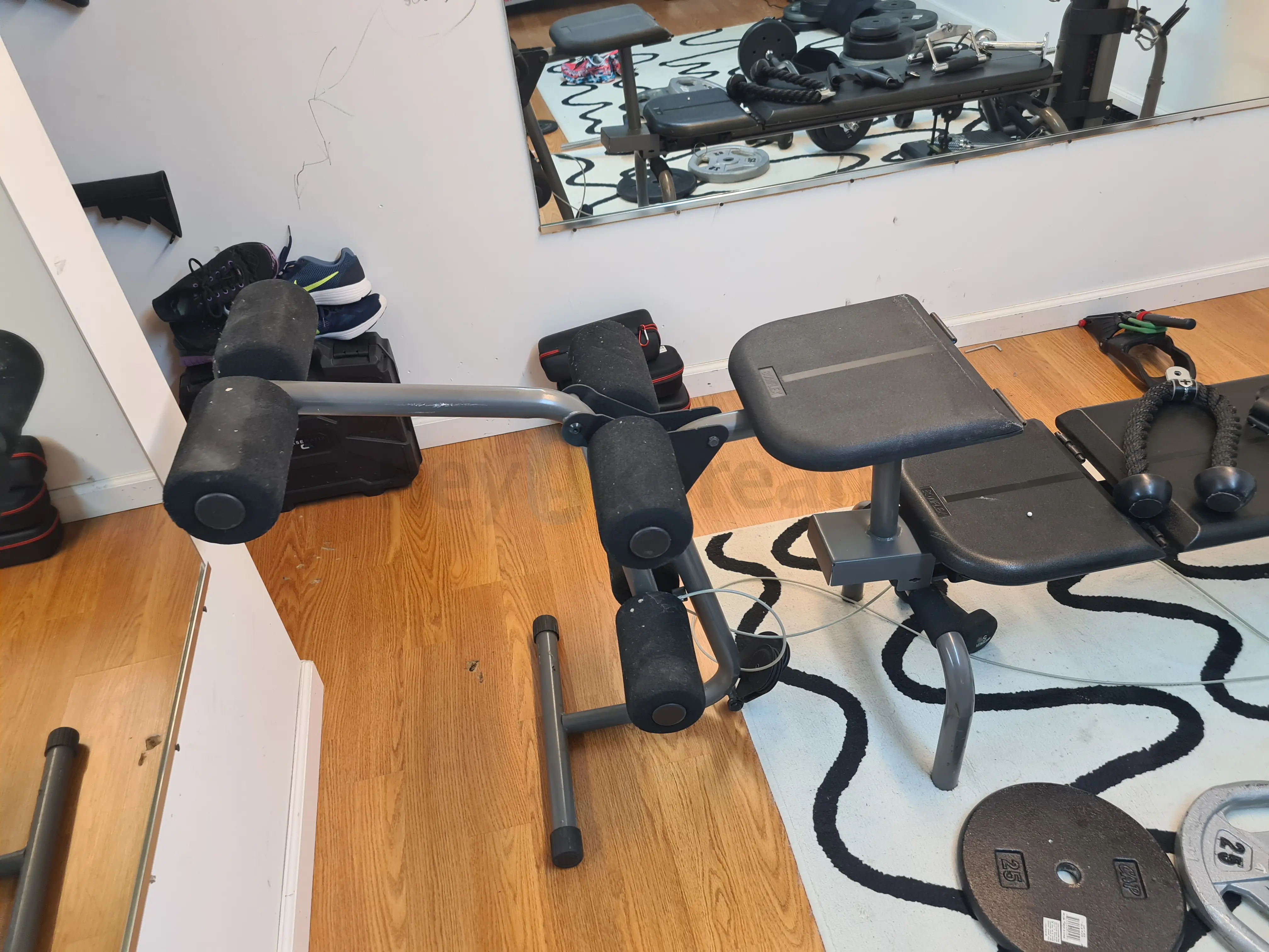 Bowflex XTL + Leg extension
