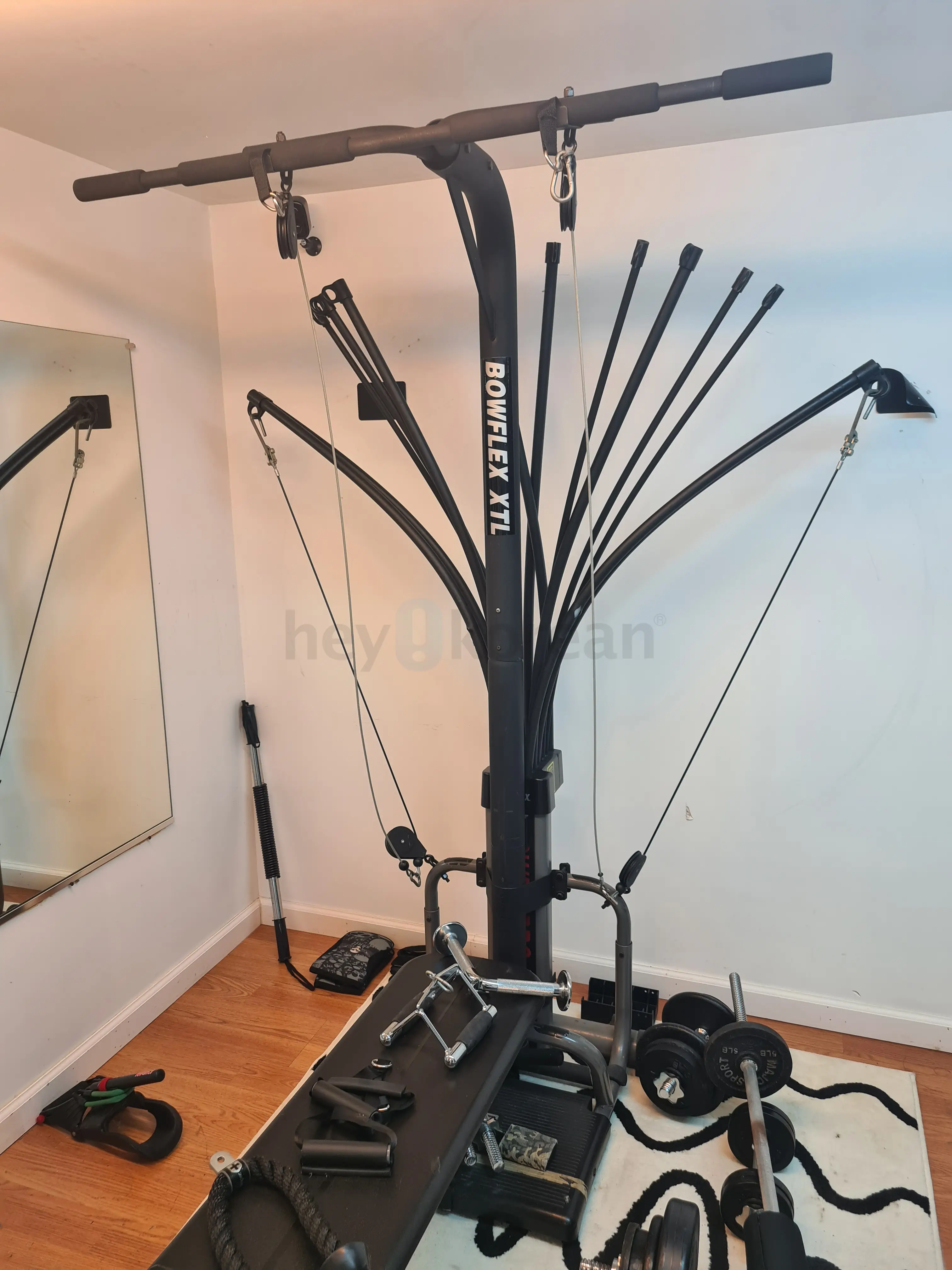 Bowflex XTL + Leg extension