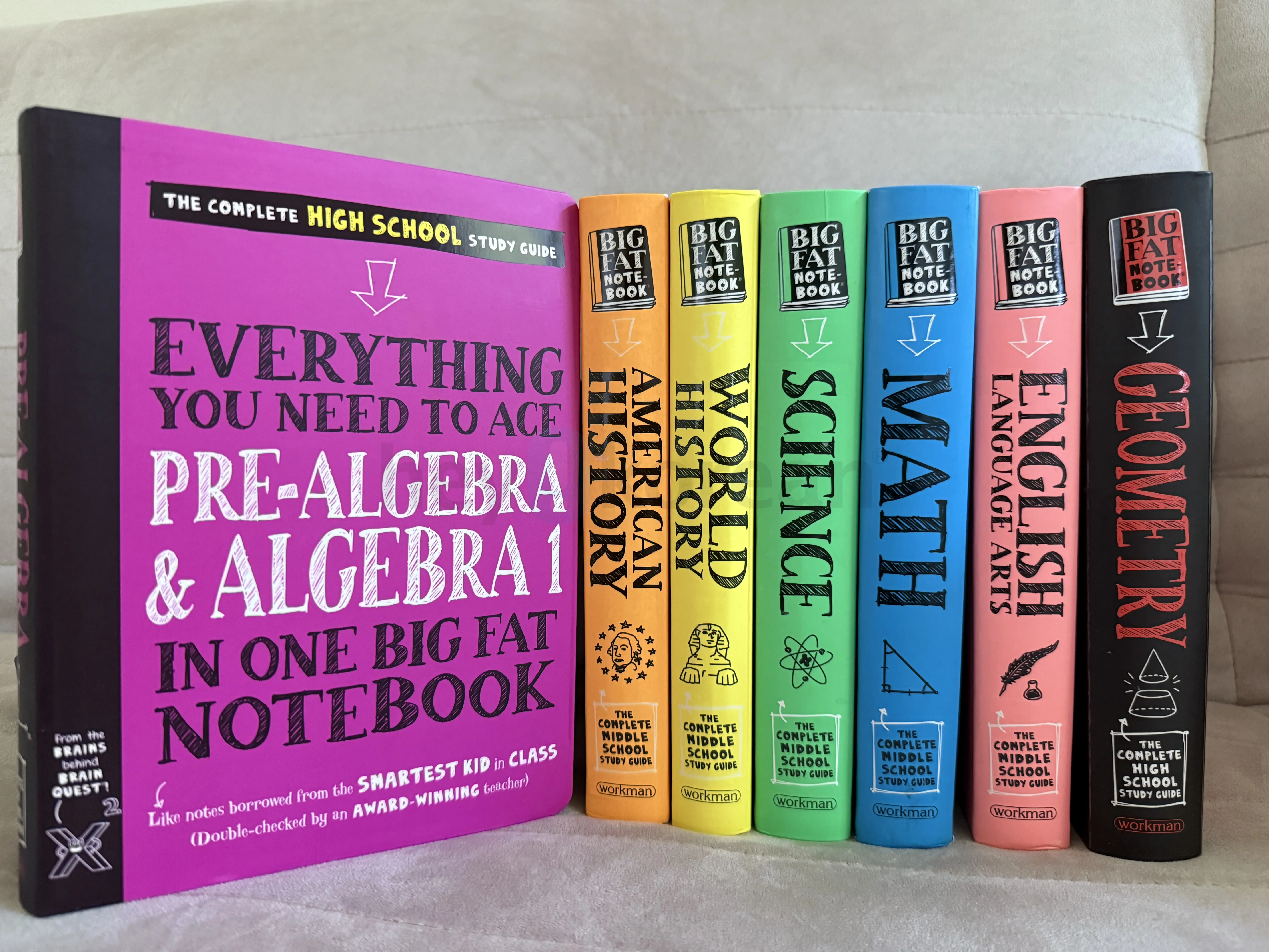 Everything You Need to Ace PRE ALGEBRA & ALGEBRA 1 in One Big Fat Notebook