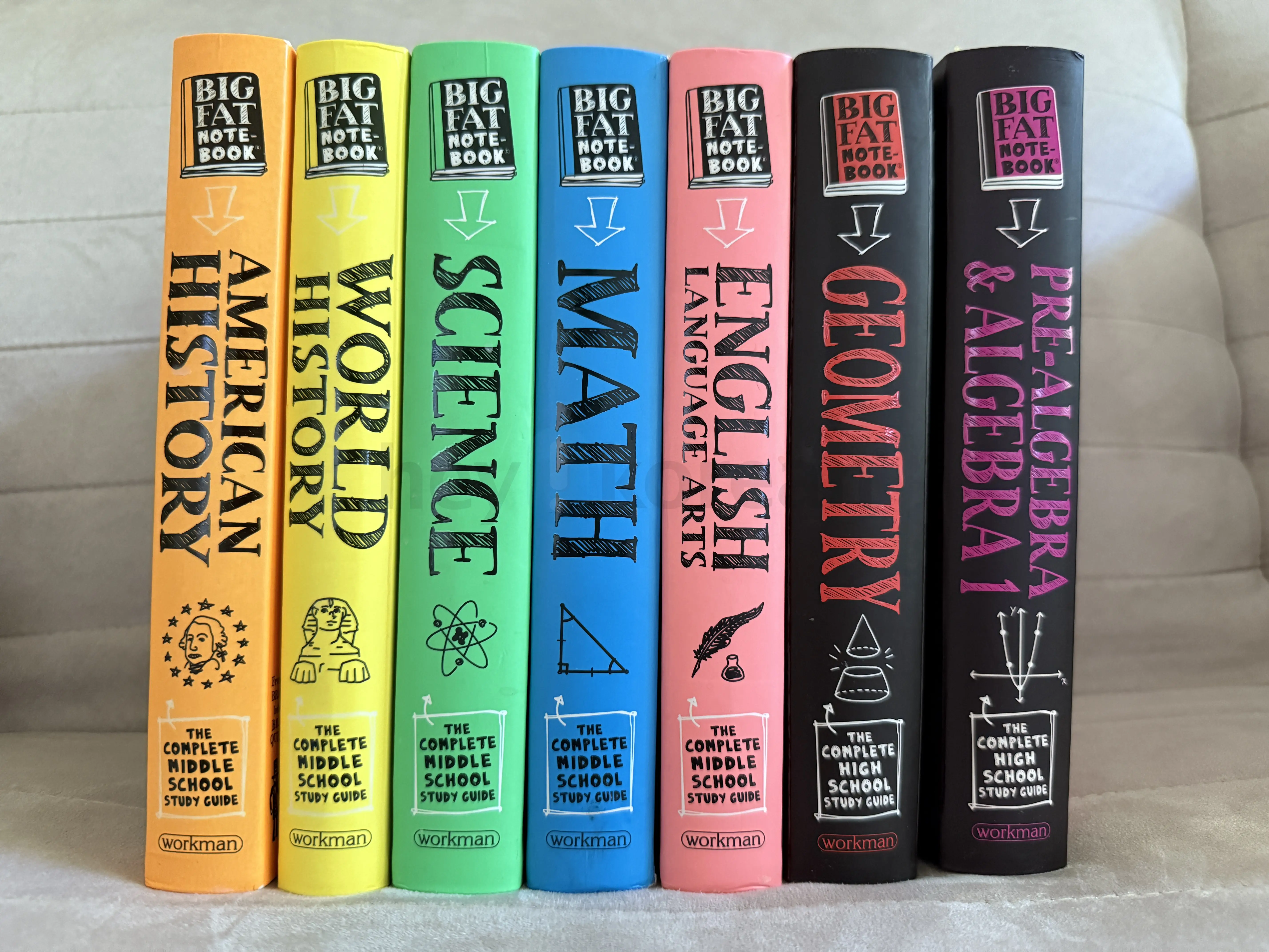 Everything You Need to Ace World History in One Big Fat Notebook