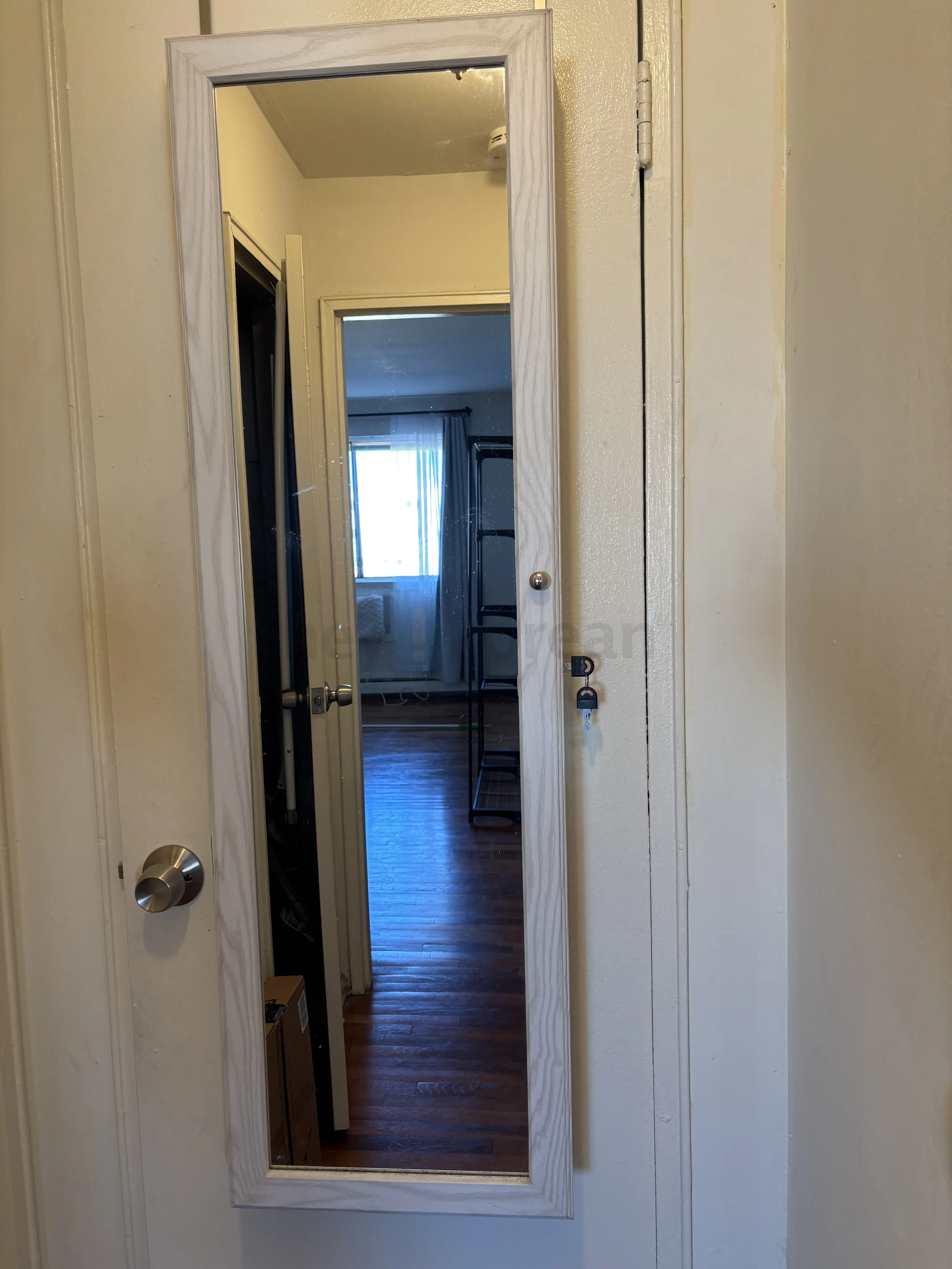 Door hanging mirror with cabinet