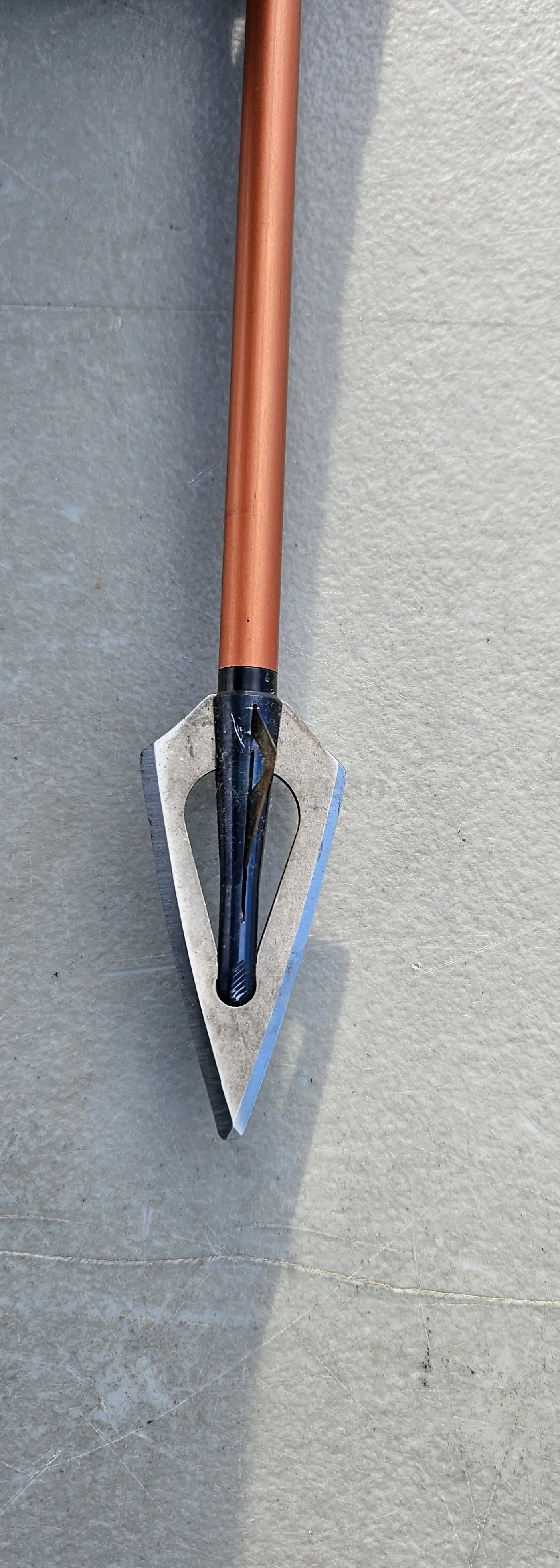 Beau bow and arrows with Case